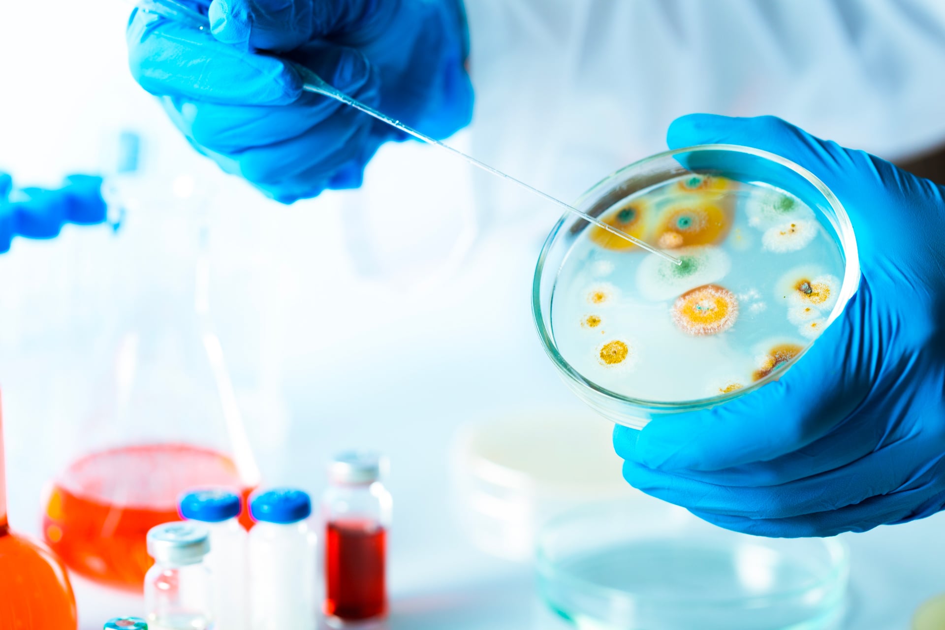 Food Microbiological Testing - Mérieux NutriSciences AQ