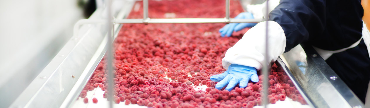 Food Contaminant Testing - Mérieux NutriSciences AQ